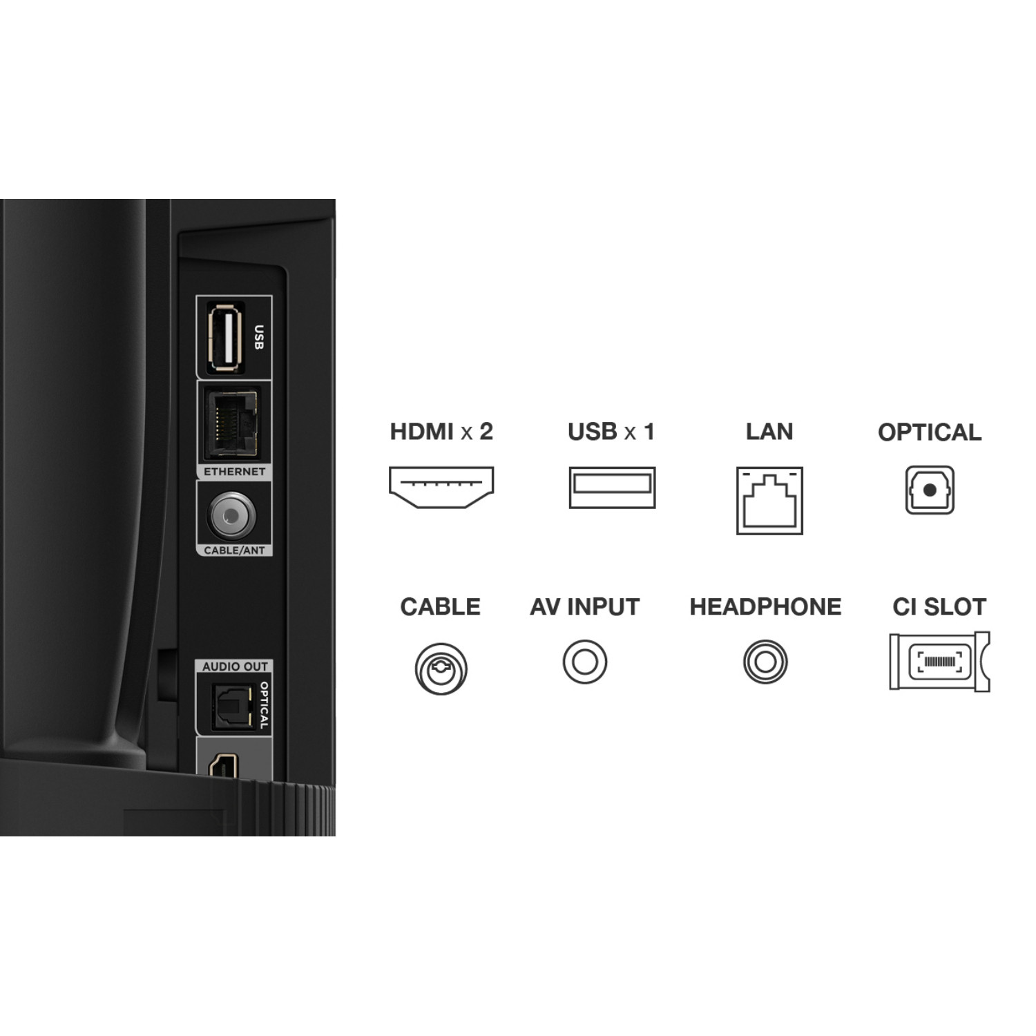 TCL 32S5401AF Full-HD HDR AndroidTV | electronic4you